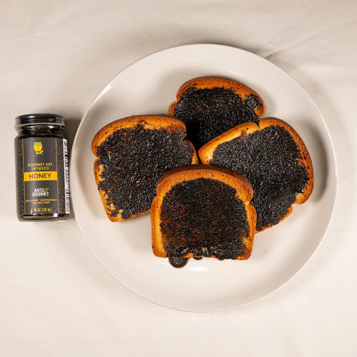 From Bug to Plate: The Rise of Edible Insects – Ant Sauce